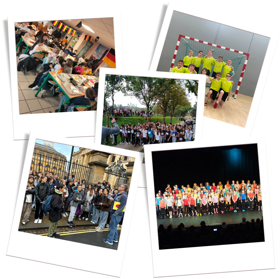 Porte ouverte 6e - Lycée Notre Dame des Collines